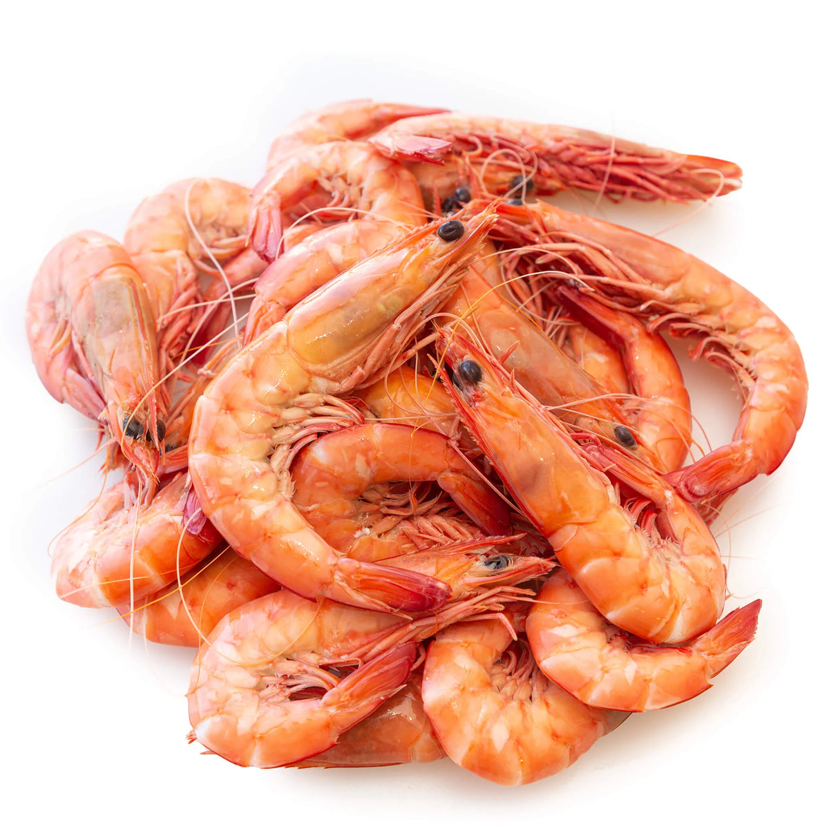 SA Medium Cooked King Prawns – Regal Seafoods